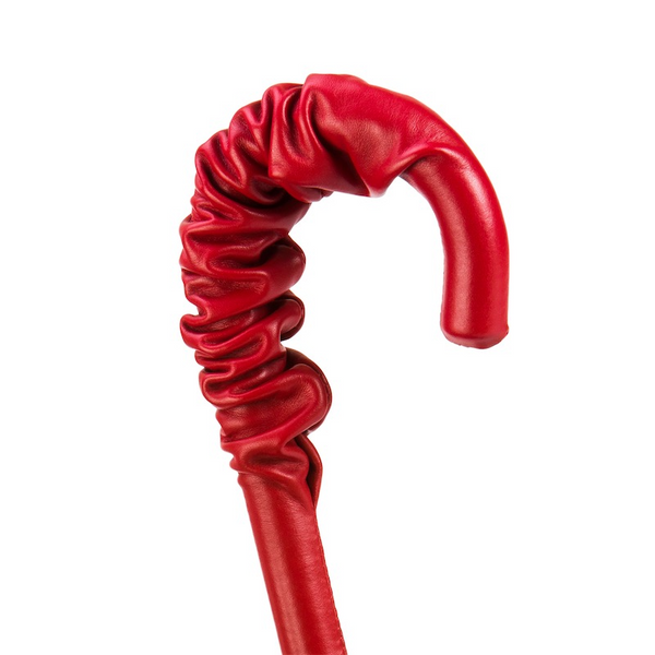 Unique Red Leopard Print Interior Double Cloth Umbrella with Leather ...