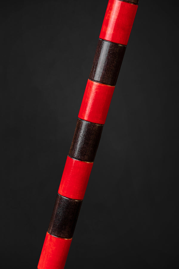 Art Georgia Bulldogs American Football Sports Walking Cane | ART ...