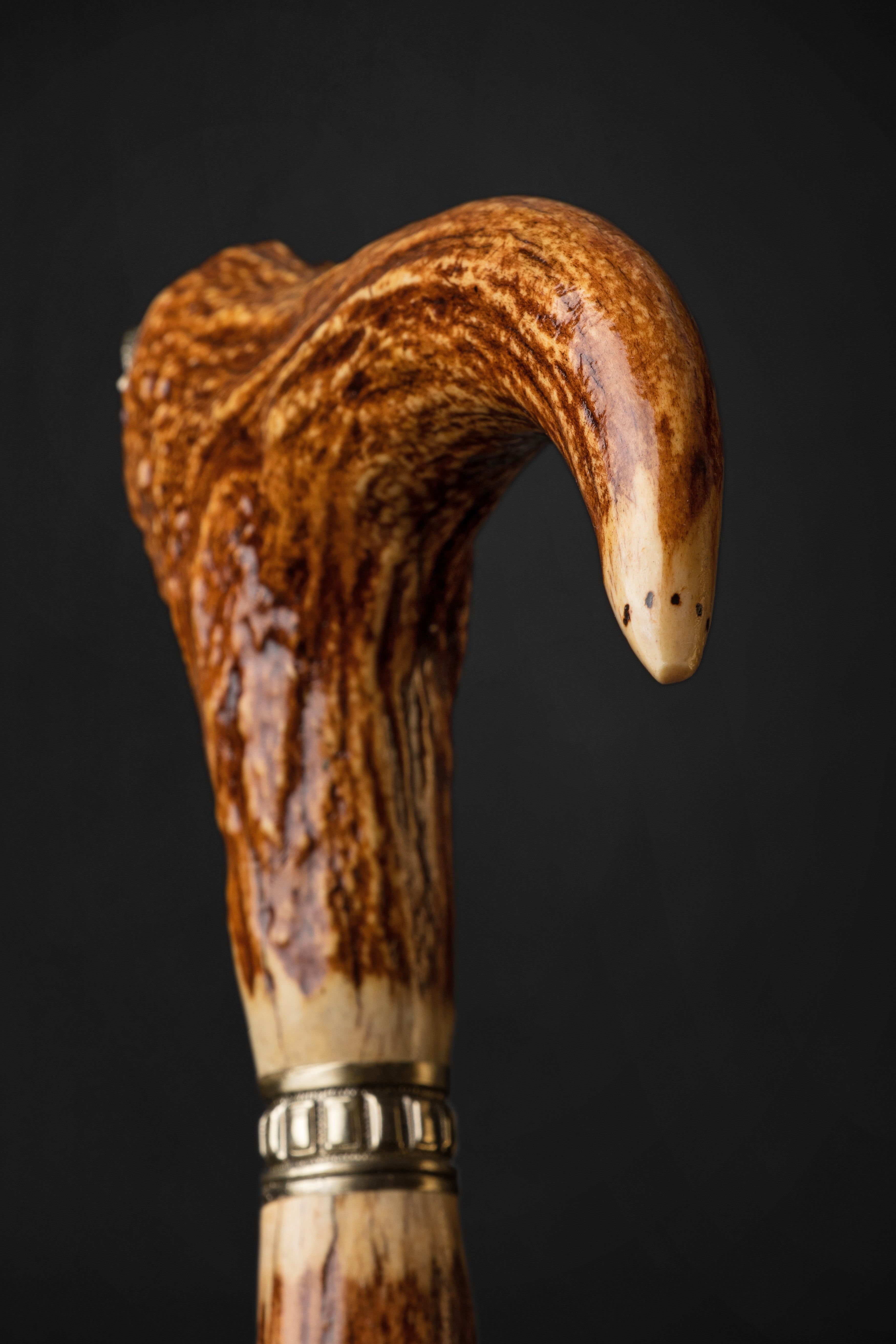 Exquisite Deer Antler Pirate Walking Cane with Signature, Unique Design ...