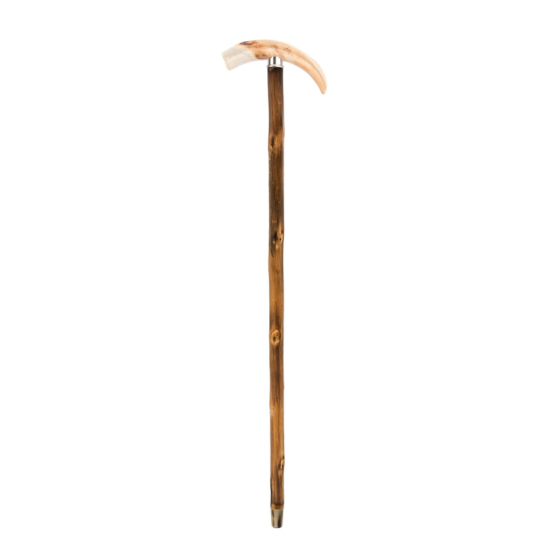 Wild Boar Tusk Walking Cane For Men, Exquisite Exclusive Cane | ART ...