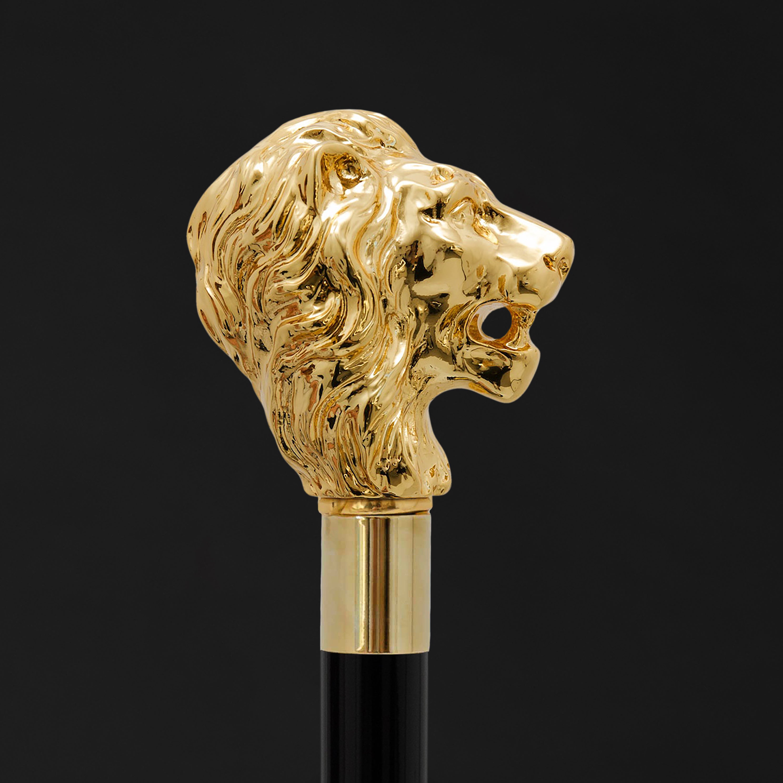 Vintage Lion Head Handle Walking Stick, Designer Walking Canes | ART ...