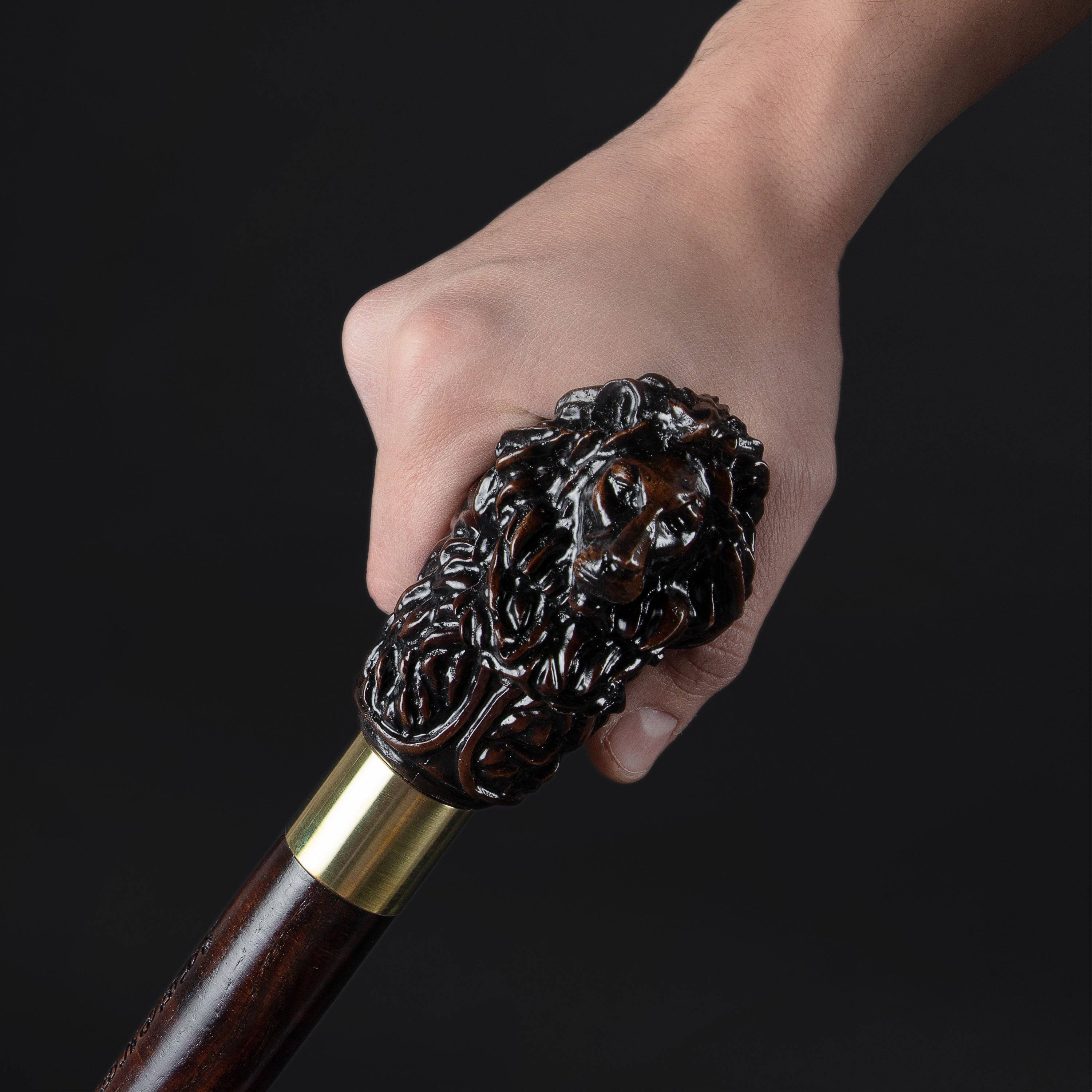 Carved Lion Head Comfortable Walking Cane, Unusual Crazy Walking Stick ...