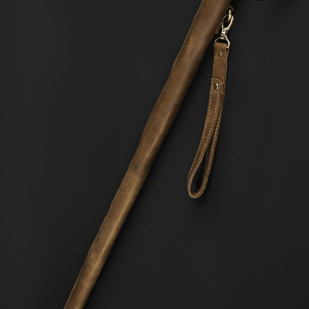 Case for Walking Stick Storage, Walking Cane Case Leather - Cane Holder ...