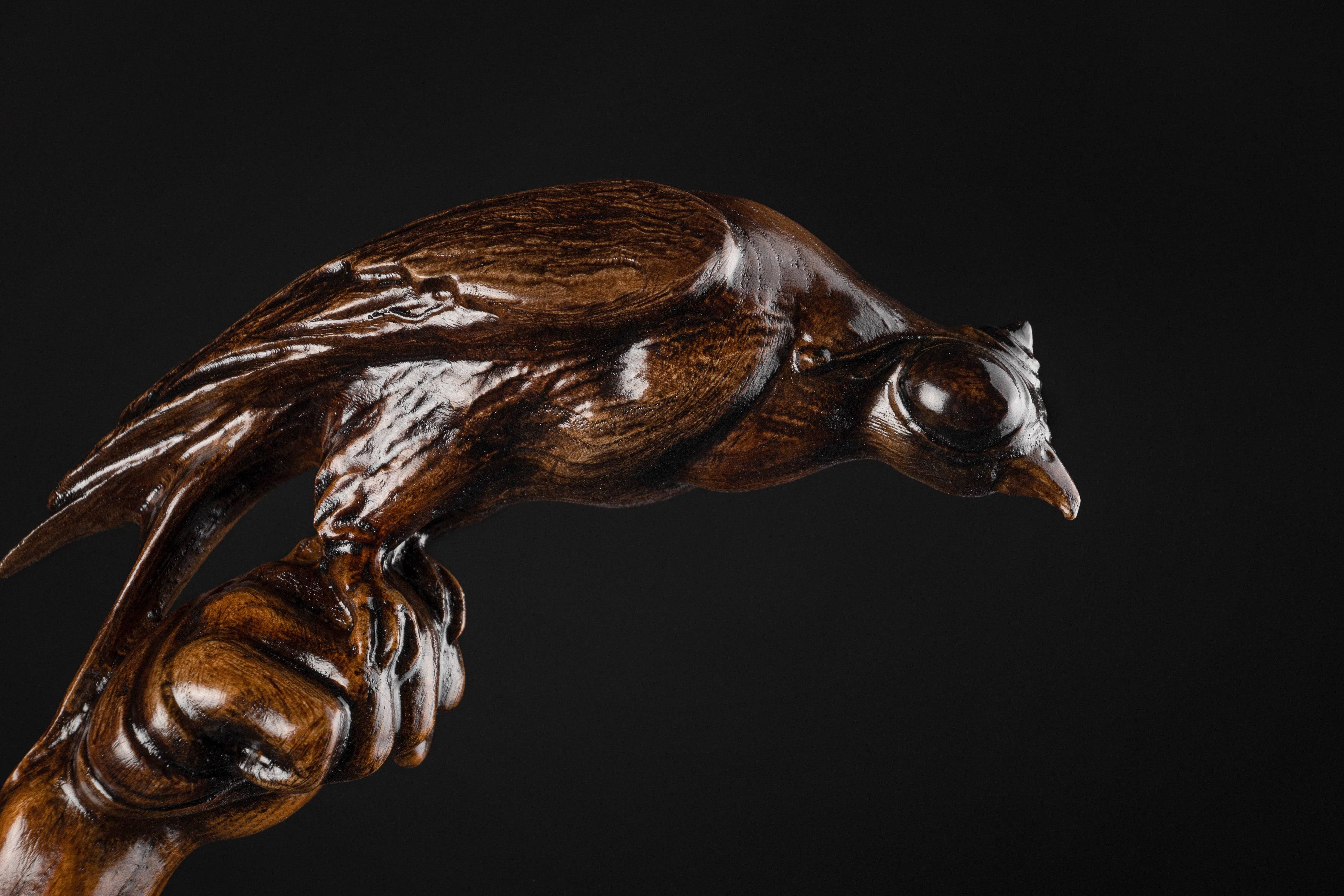Falconry Walking Cane Fancy Hand Carved Cane, Best Canes for Seniors ...