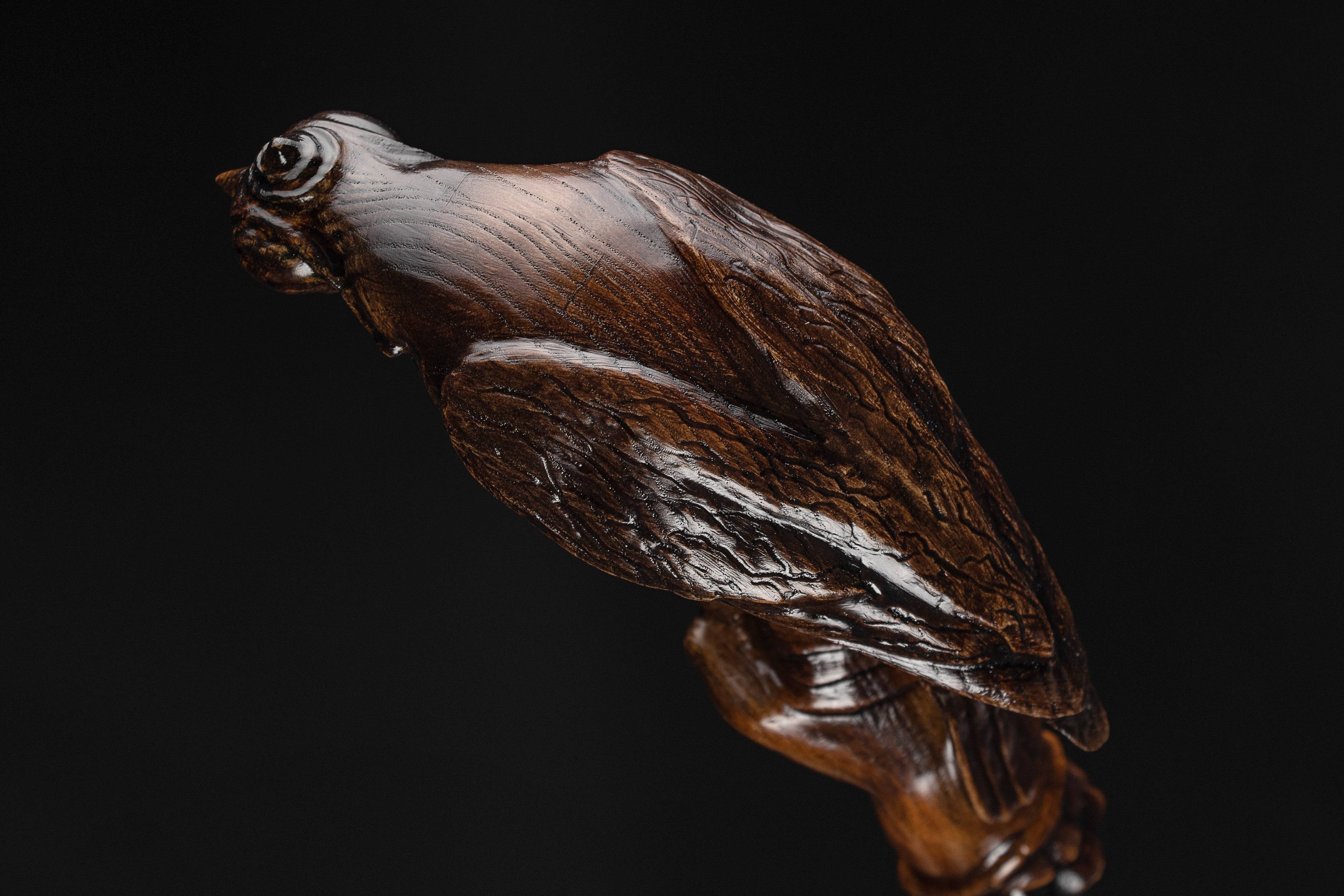 Falconry Walking Cane Fancy Hand Carved Cane, Best Canes for Seniors ...