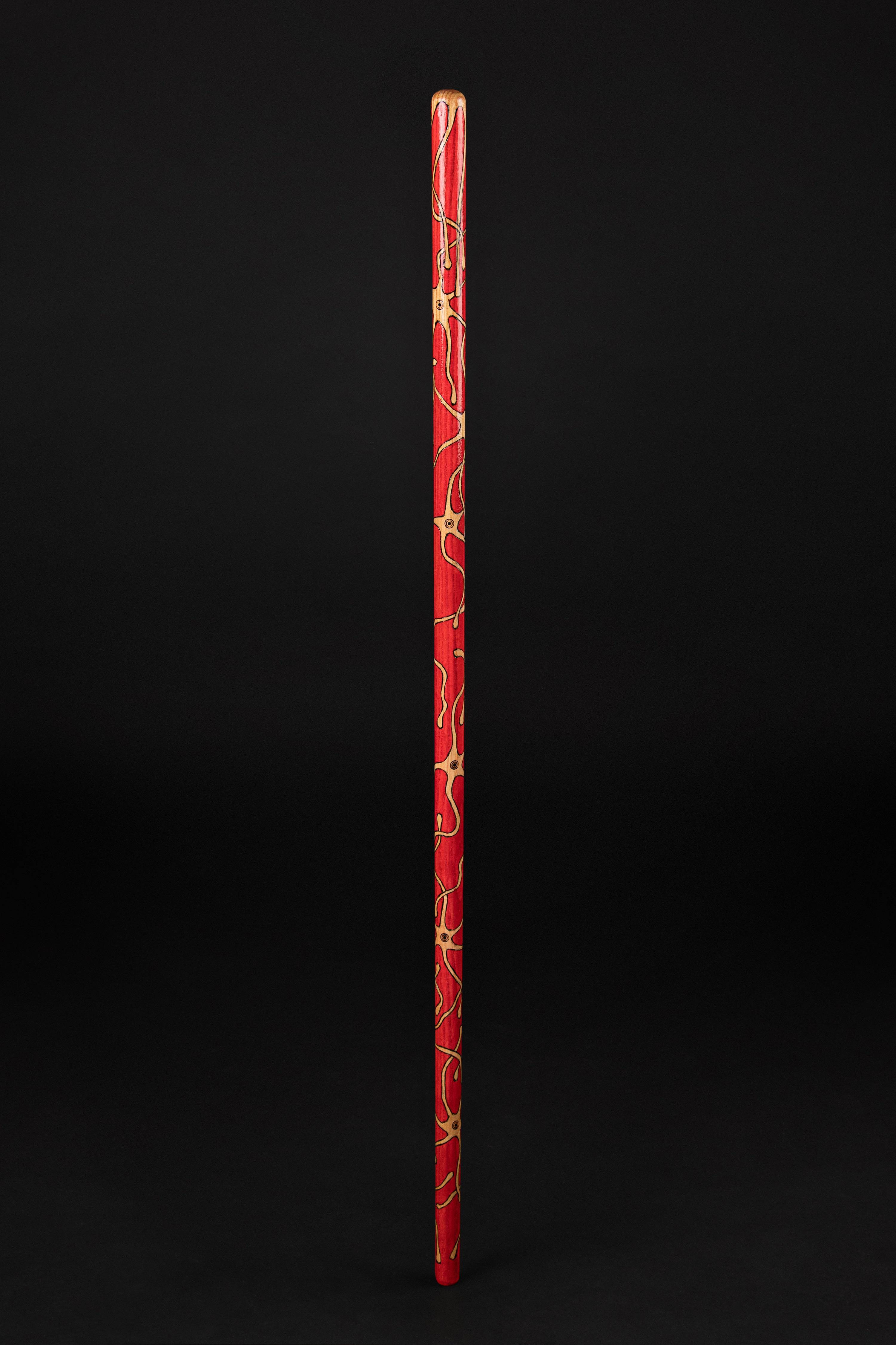 Hand Painted Walking Cane, Art Didgeridoo Designs Driftwood Walking St