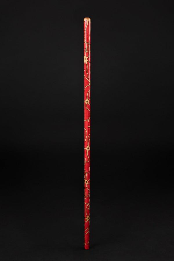 Hand Painted Walking Cane, Art Didgeridoo Designs Driftwood Walking St