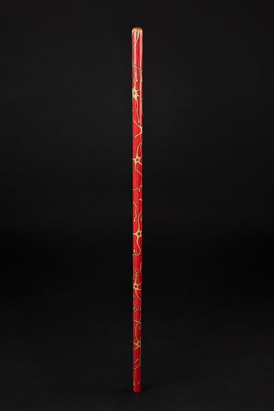 Hand Painted Walking Cane, Art Didgeridoo Designs Driftwood Walking St