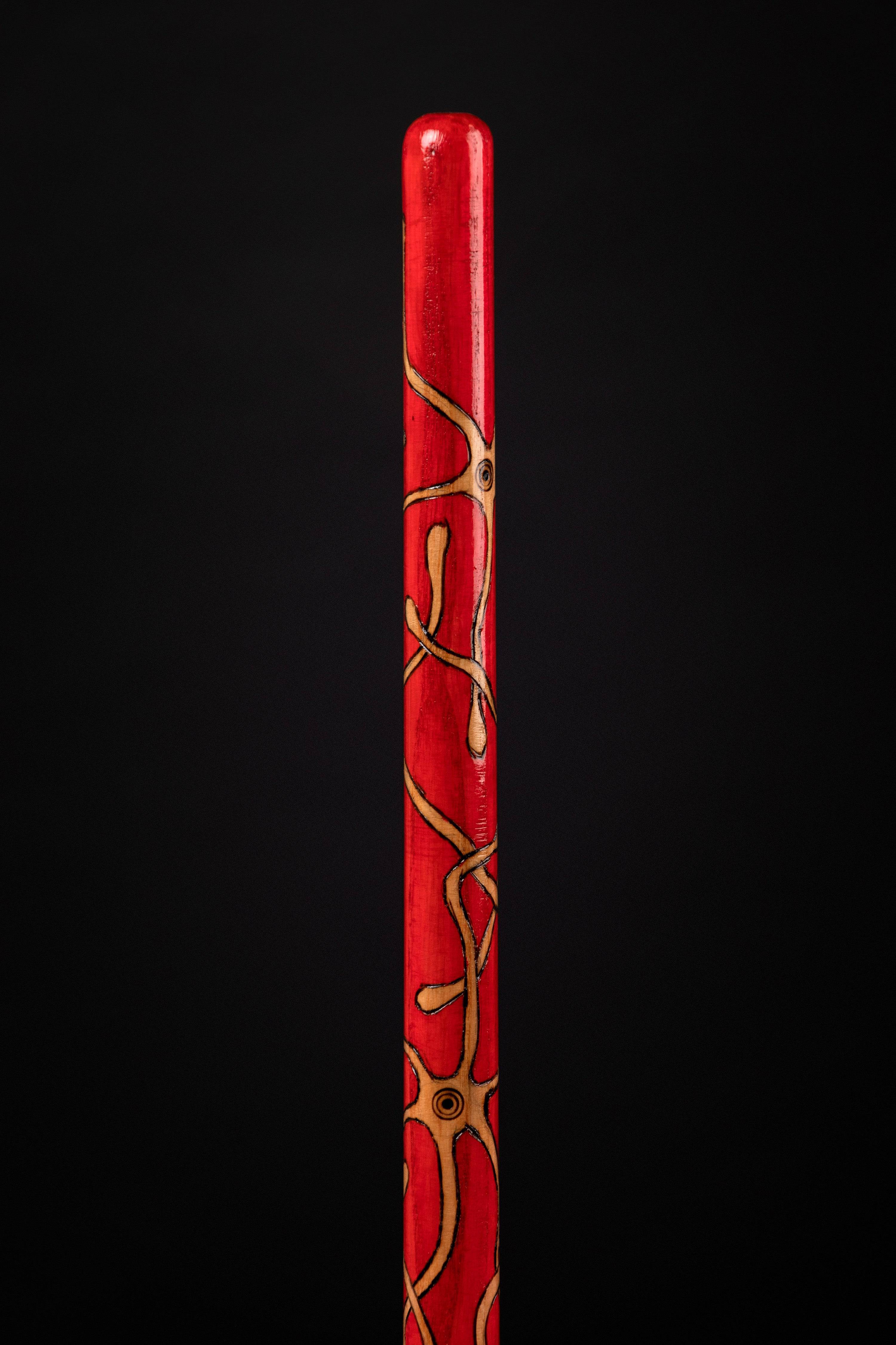 Hand Painted Walking Cane, Art Didgeridoo Designs Driftwood Walking ...