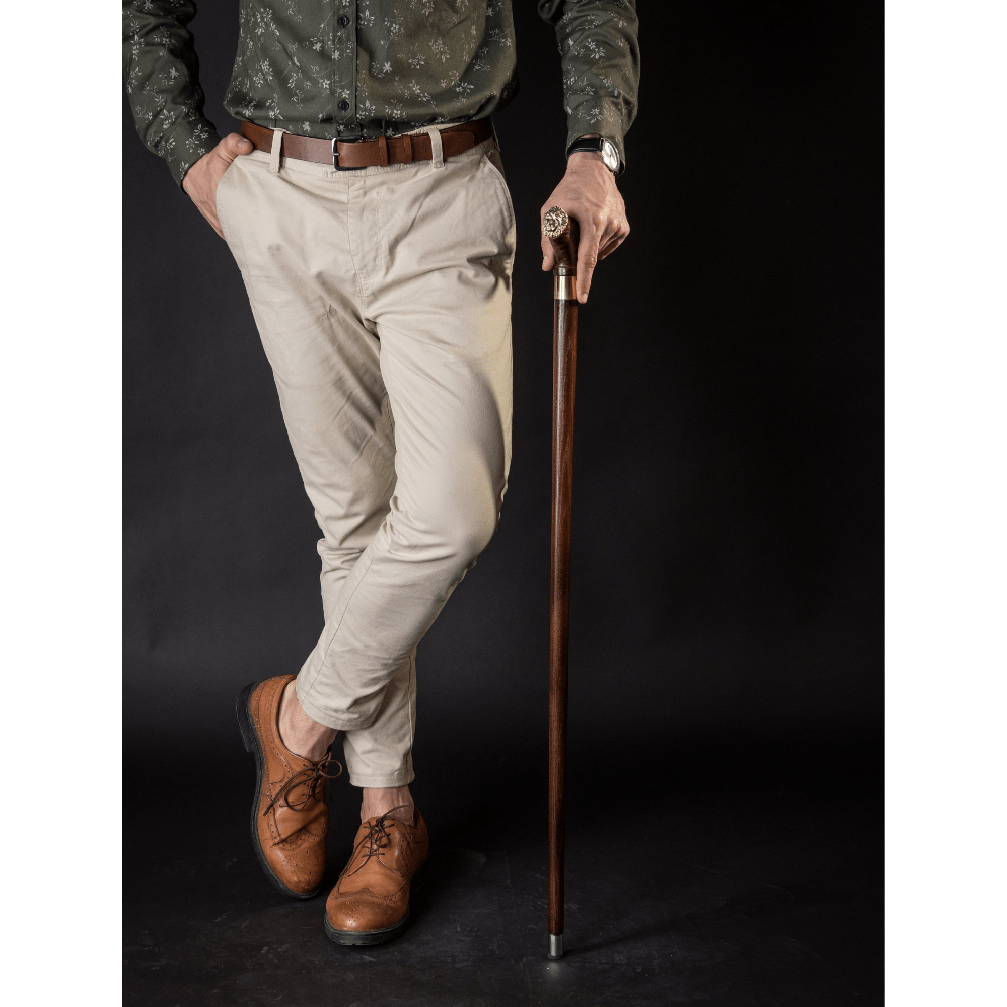 Lion Walking Stick, Wooden Walking Cane - Design Canes | ART WALKING STICKS