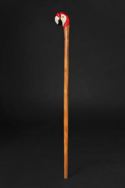 Hand-Carved Walking Cane – Parrot Handle, Unisex & Weatherproof