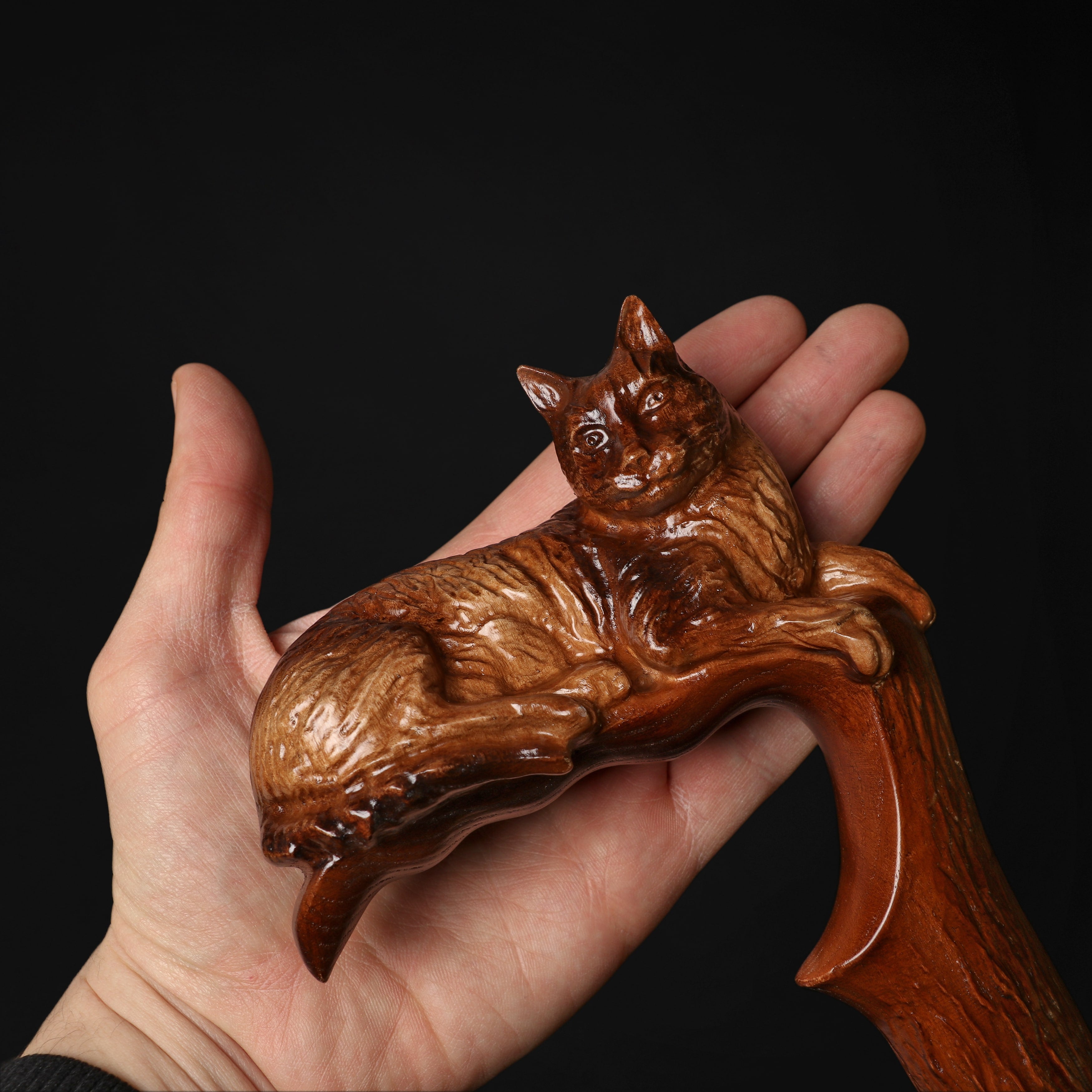 Comfort Grip This Cat Walking Cane, Ergonomic Walking Stick, Artistic ...